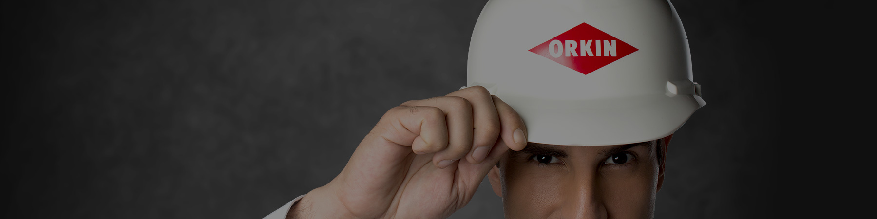 為什麼選擇奧肯？ - Orkin Taiwan